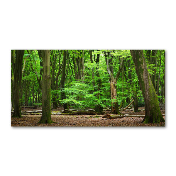 Union Rustic Dutch Forest - Ungerahmte Kunstdrucke auf Leinwand | Wayfair.de